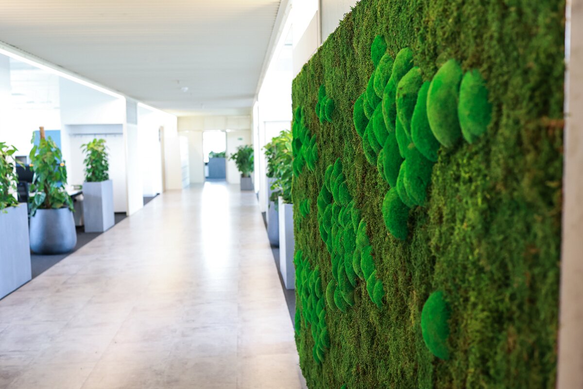 Moss Walls and Pictures | JUNGLE INTERIORS, s.r.o.