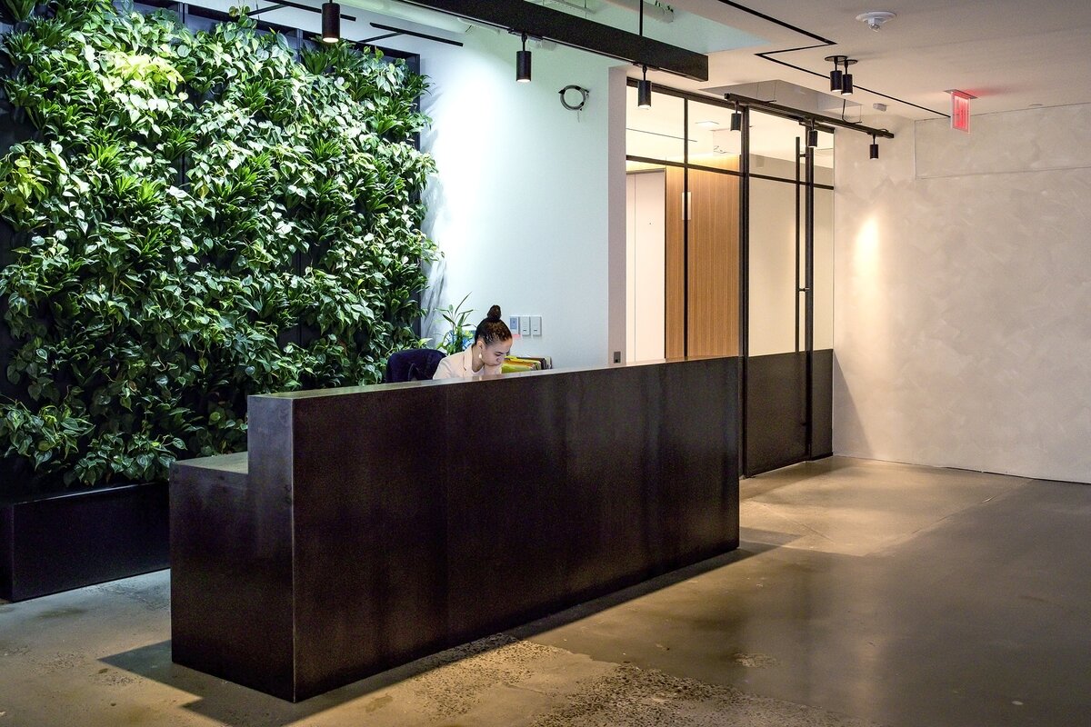 The Extraordinary NAAVA Air Purifier | JUNGLE INTERIORS, s.r.o.