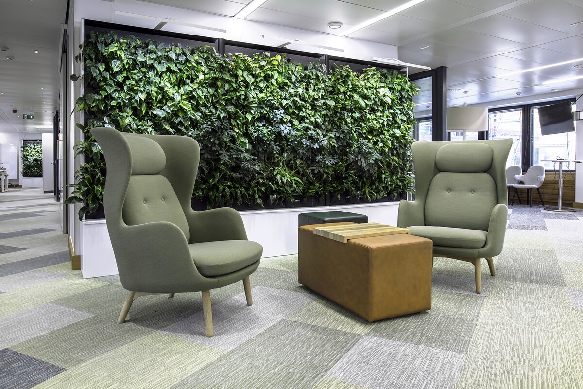 The Extraordinary NAAVA Air Purifier | JUNGLE INTERIORS, s.r.o.