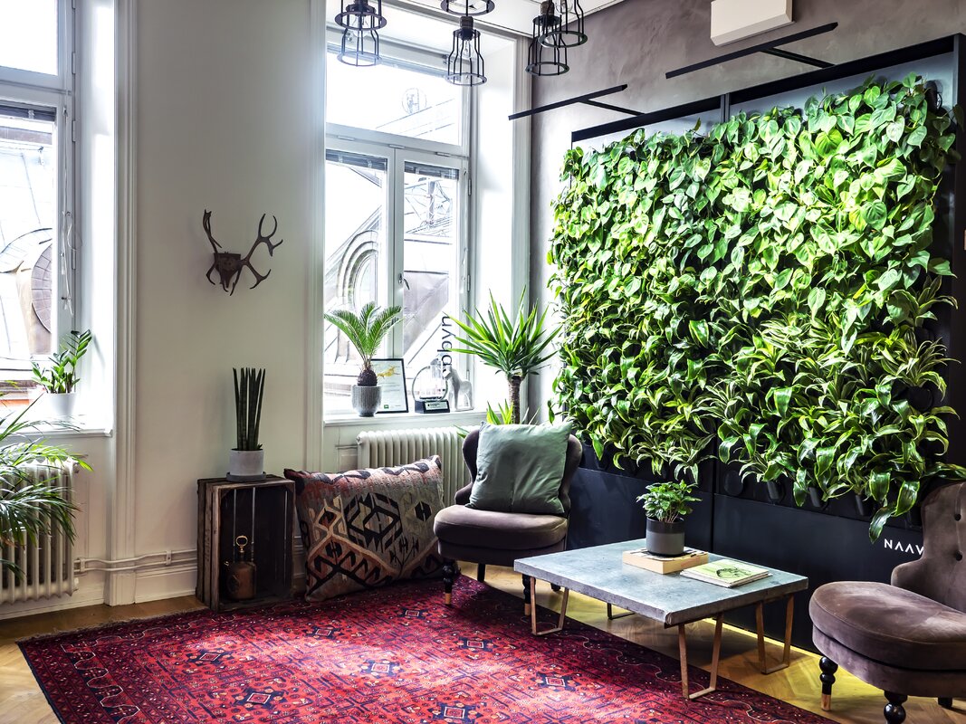 The Extraordinary NAAVA Air Purifier | JUNGLE INTERIORS, s.r.o.